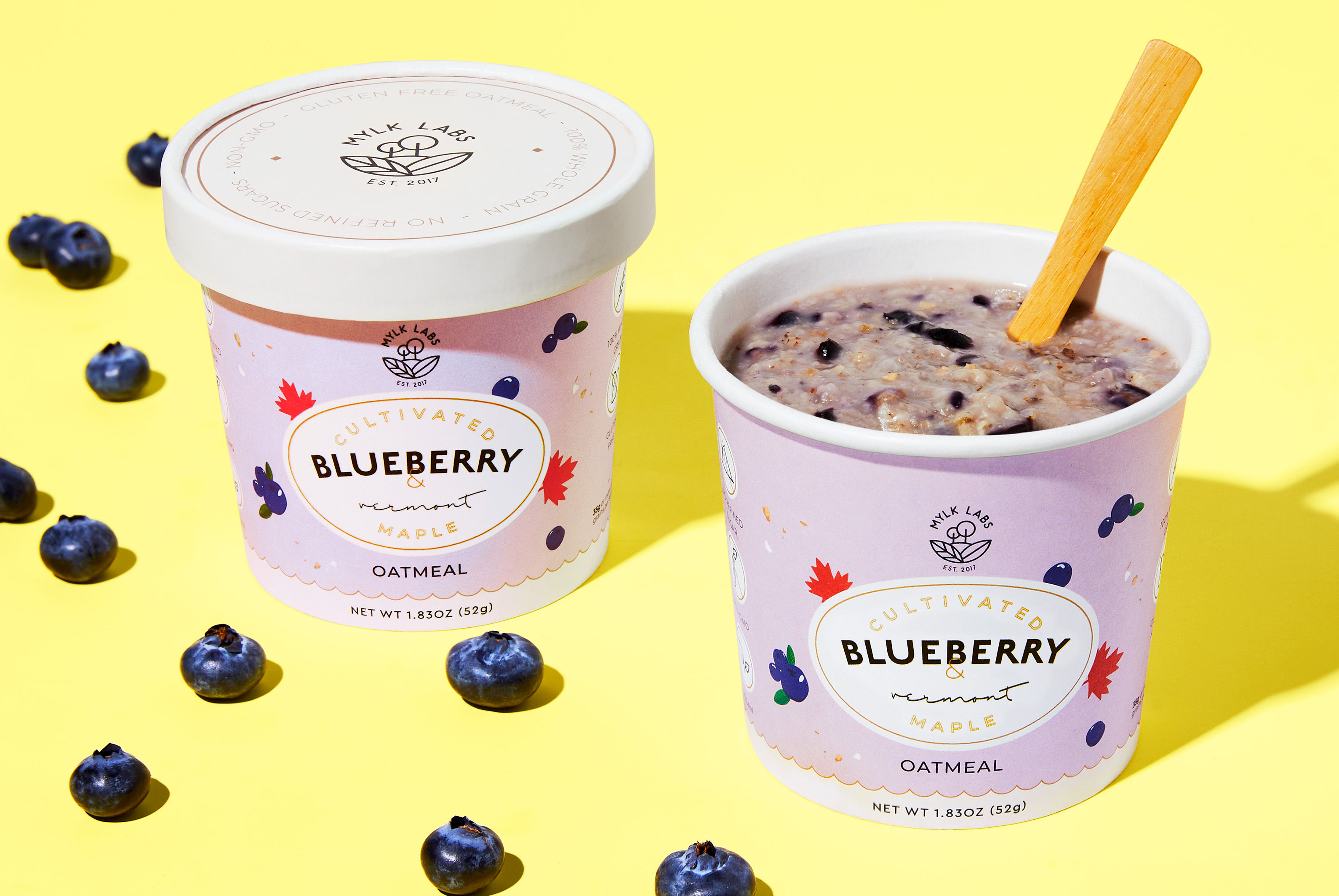Mylk Labs Blueberry Oatmeal Recipe | HelloFresh