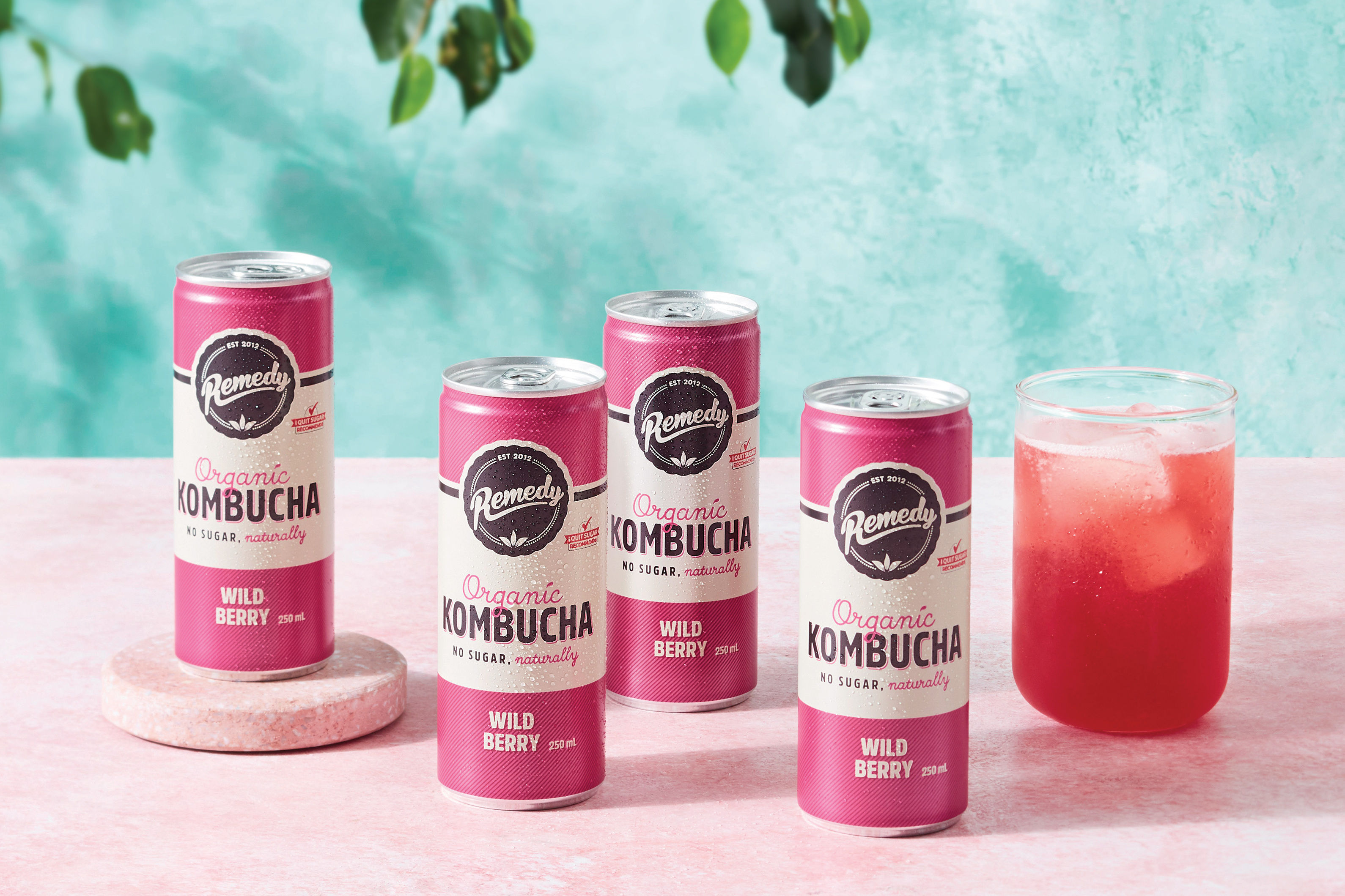 Wild Berry Kombucha Recipe | HelloFresh