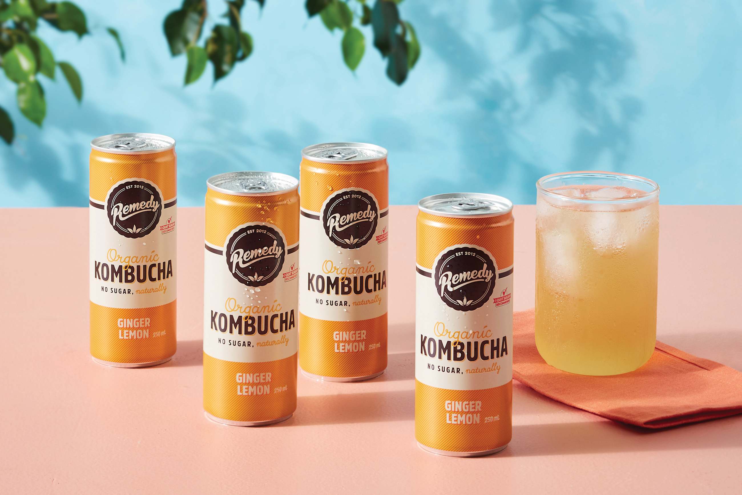 Ginger Lemon Kombucha Recipe | HelloFresh