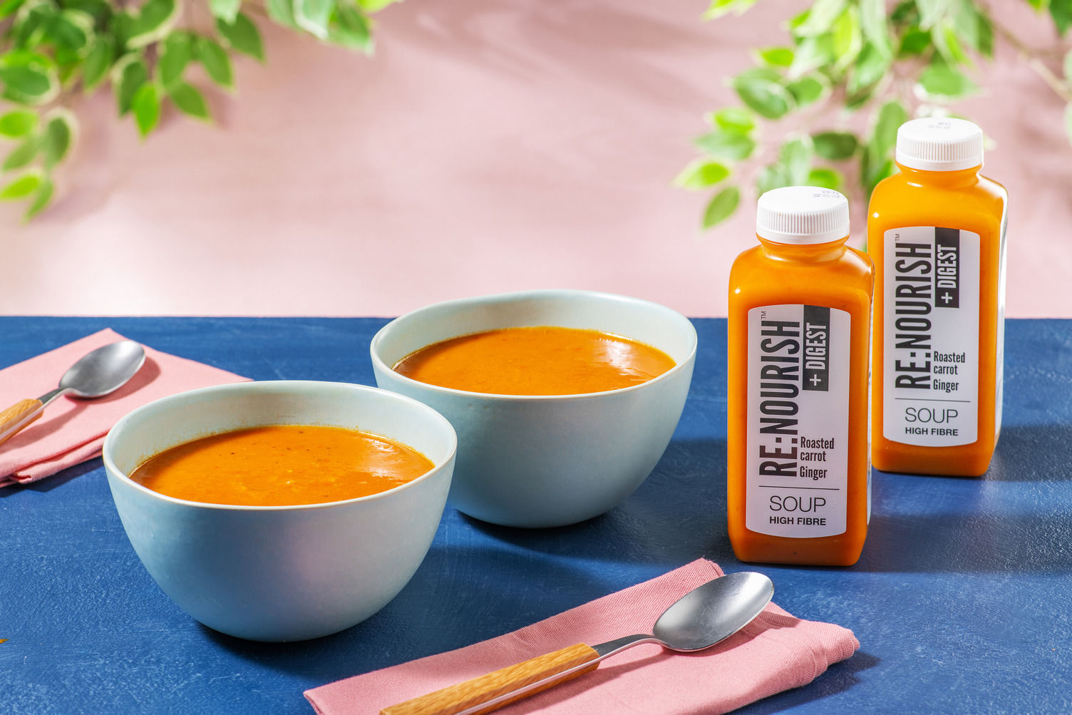 Re:Nourish Digest - Roasted Carrot and Ginger Soup Bundle Recipe ...