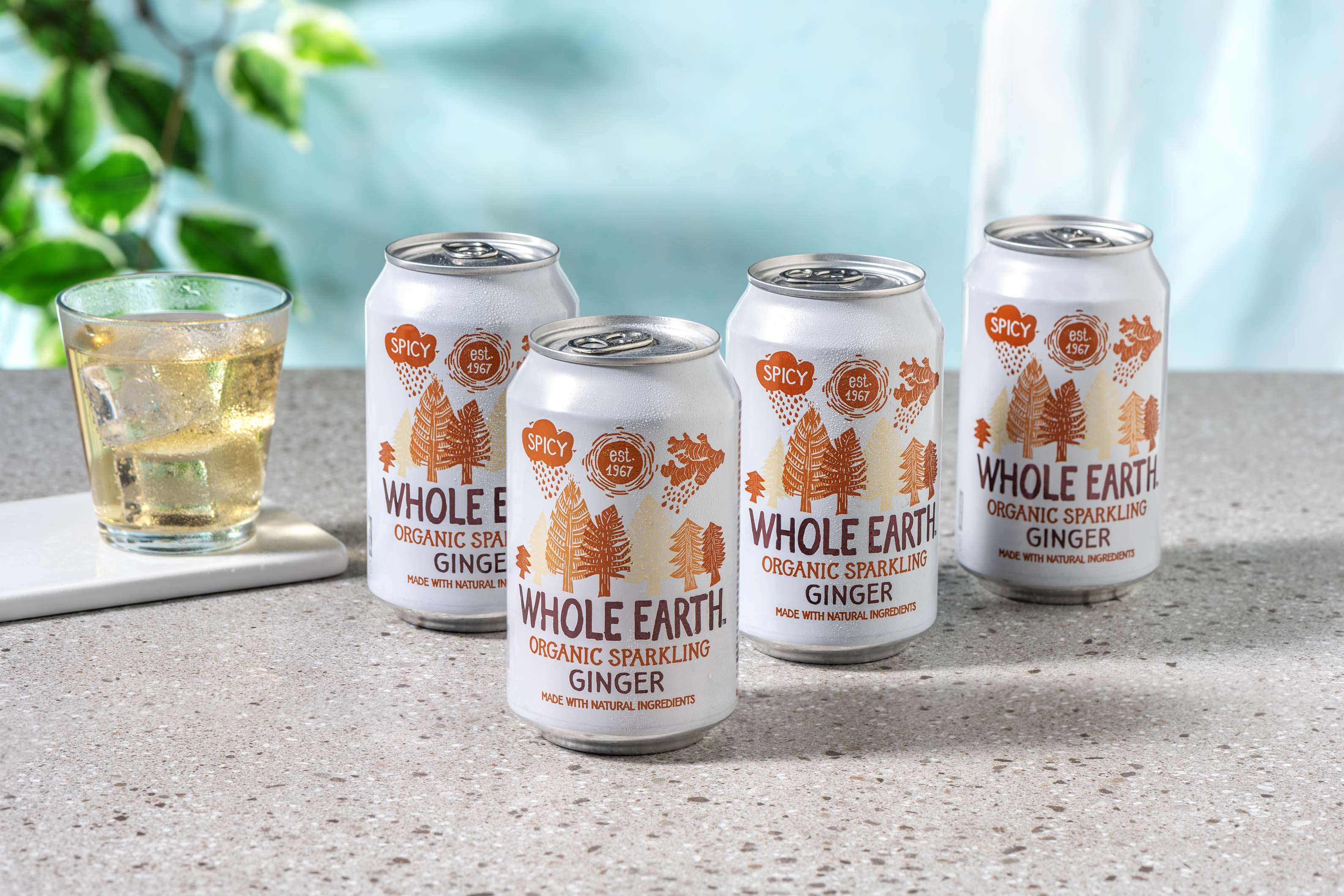 BIO Whole Earth Sparkling Ginger EN/FR/NL/SE/DK/NO (330ml) Recette | HelloFresh